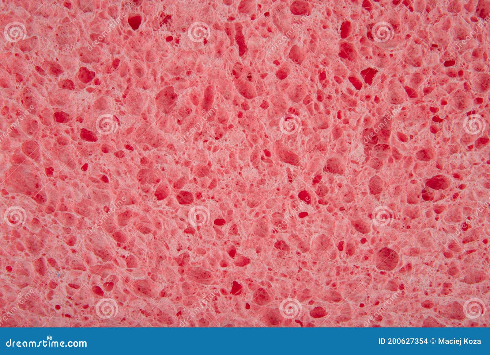 Sponge Texture - Structure of a Pink Sponge Stock Photo - Image of ...