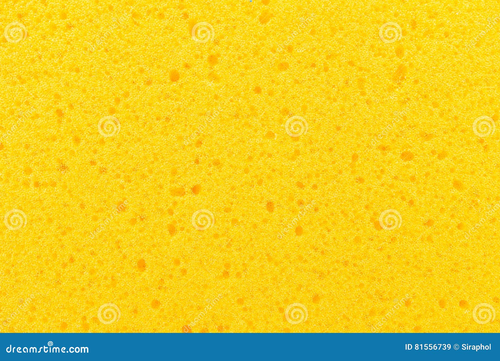 Sponge Textures for Background Stock Image - Image of background, care ...