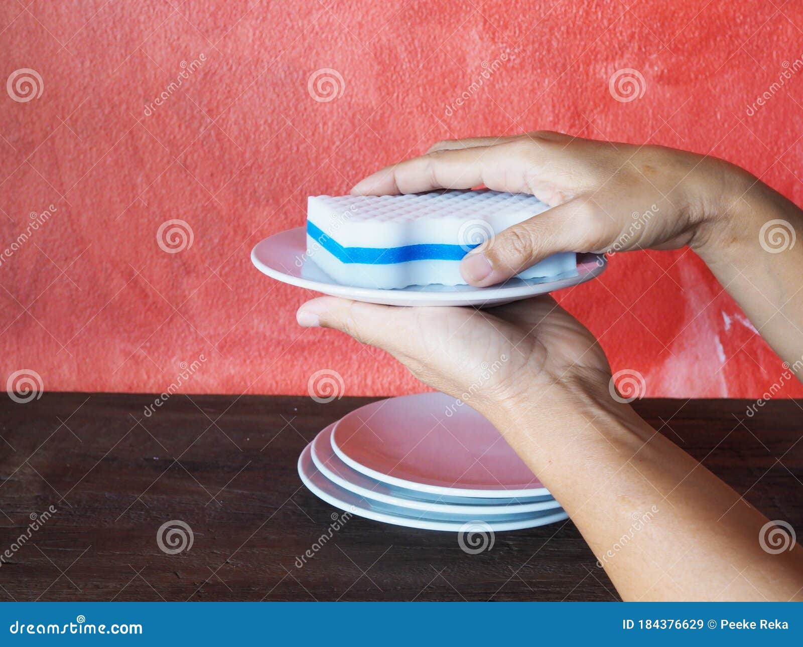 Sponge To Cleaning on White Ceramic Plate in Hand Stock Image - Image ...
