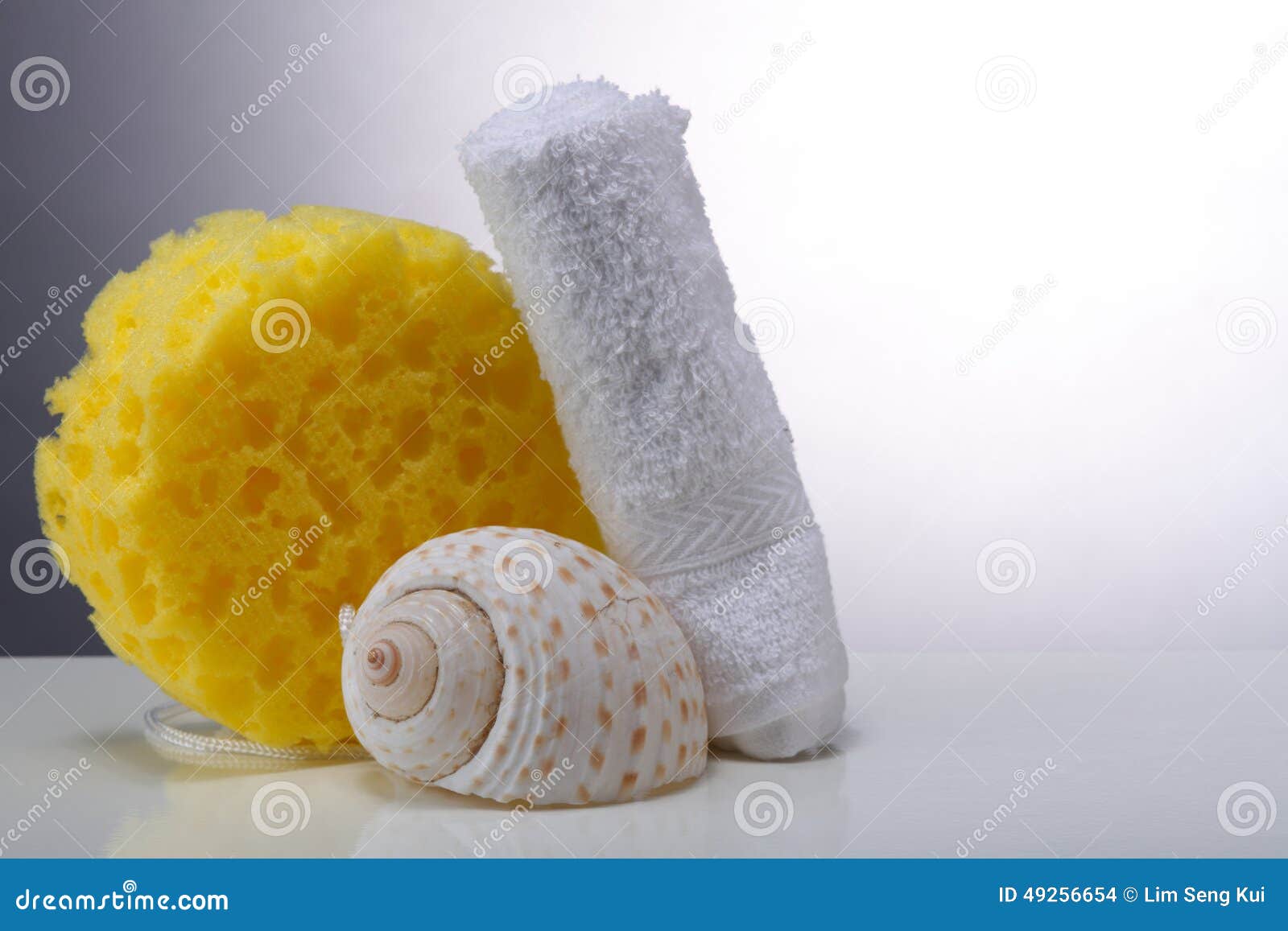 Sponge and towel stock photo. Image of healthcare, neat - 49256654