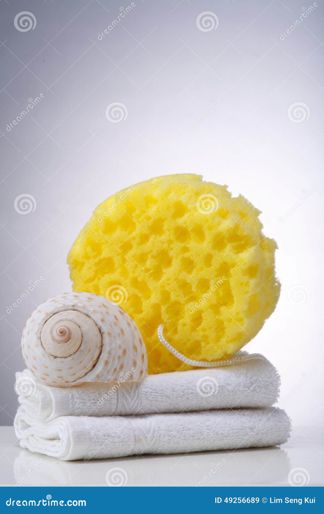 Sponge and towel stock image. Image of purity, studio - 49256689
