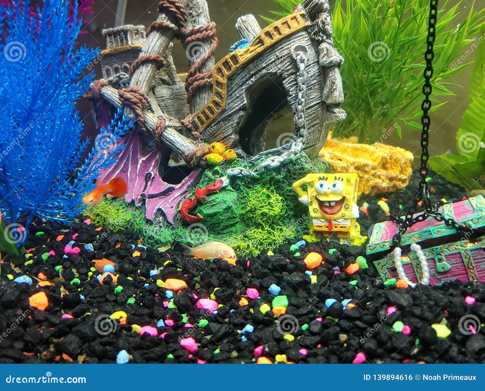 Sponge bob treasure v2 editorial photo. Image of sponge - 139894616