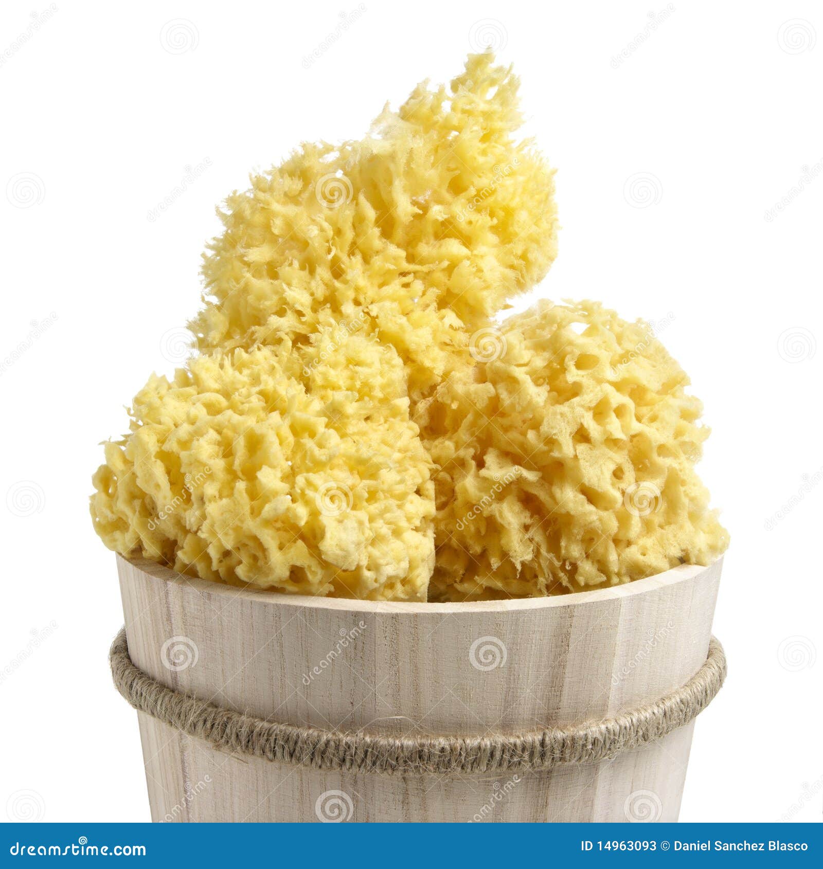 Sponges stock image. Image of accessory, soft, natural - 14963093