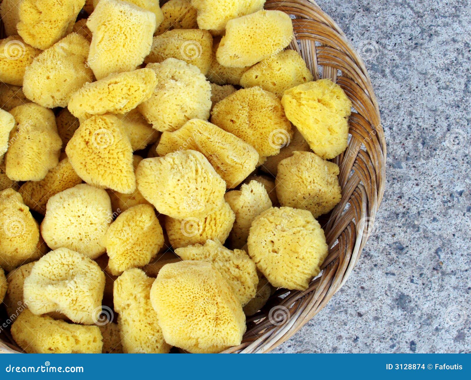 Sponges stock photo. Image of sponges, bright, organic - 3128874