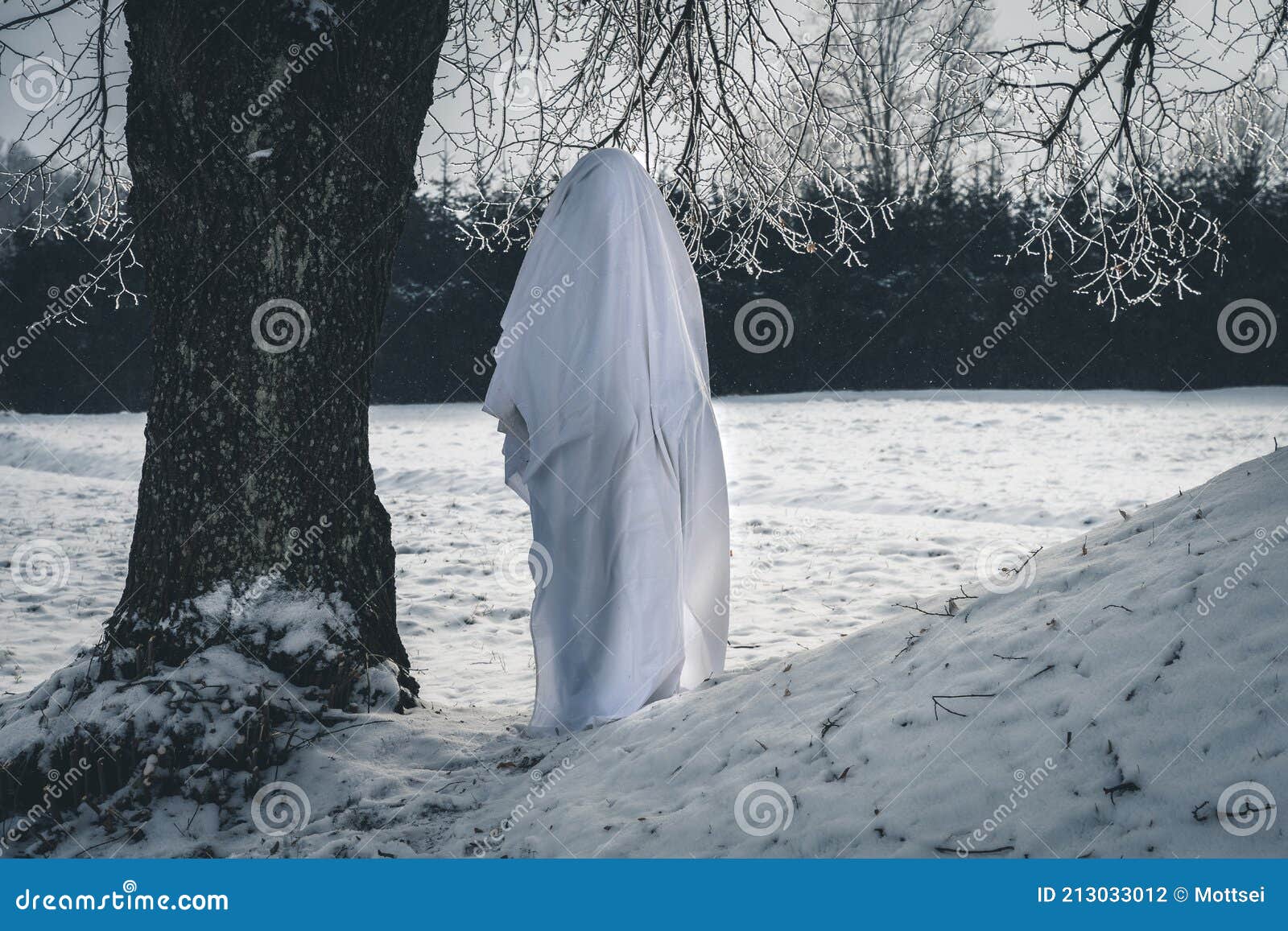 Ghost in the Snow Under a Tree Stock Photo - Image of ghost, paranormal ...