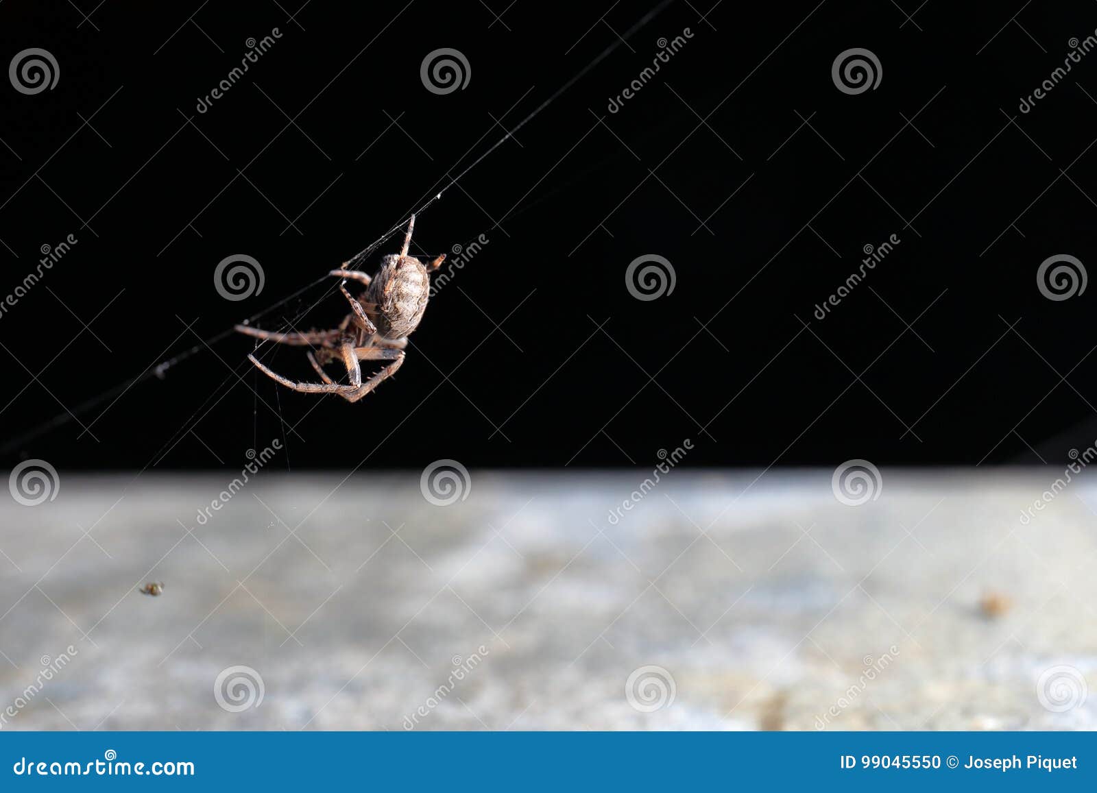 Spooky Acrobat Stock Photos - Free & Royalty-Free Stock Photos from ...