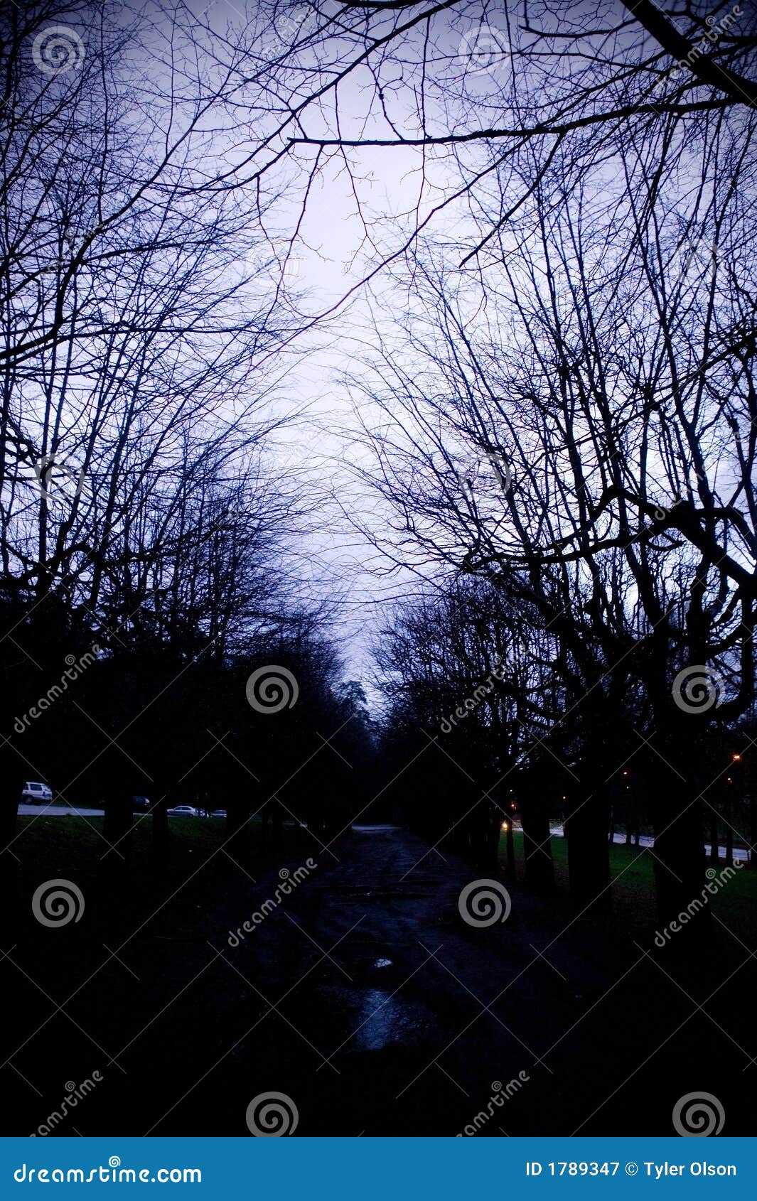 Spooky Alley stock image. Image of dangerous, purple, vignette - 1789347