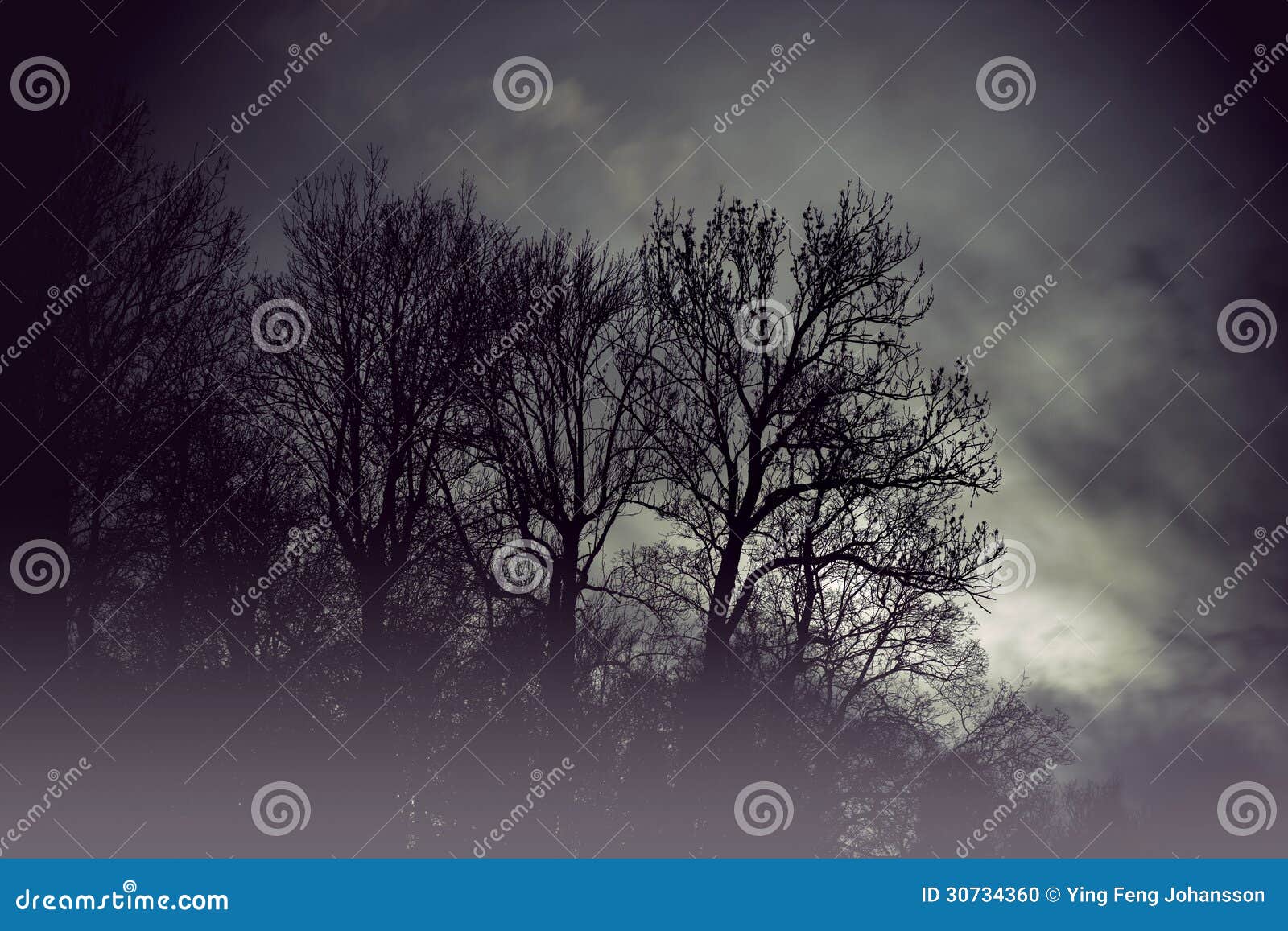 Spooky bare trees stock photo. Image of dark, trees, moody - 30734360