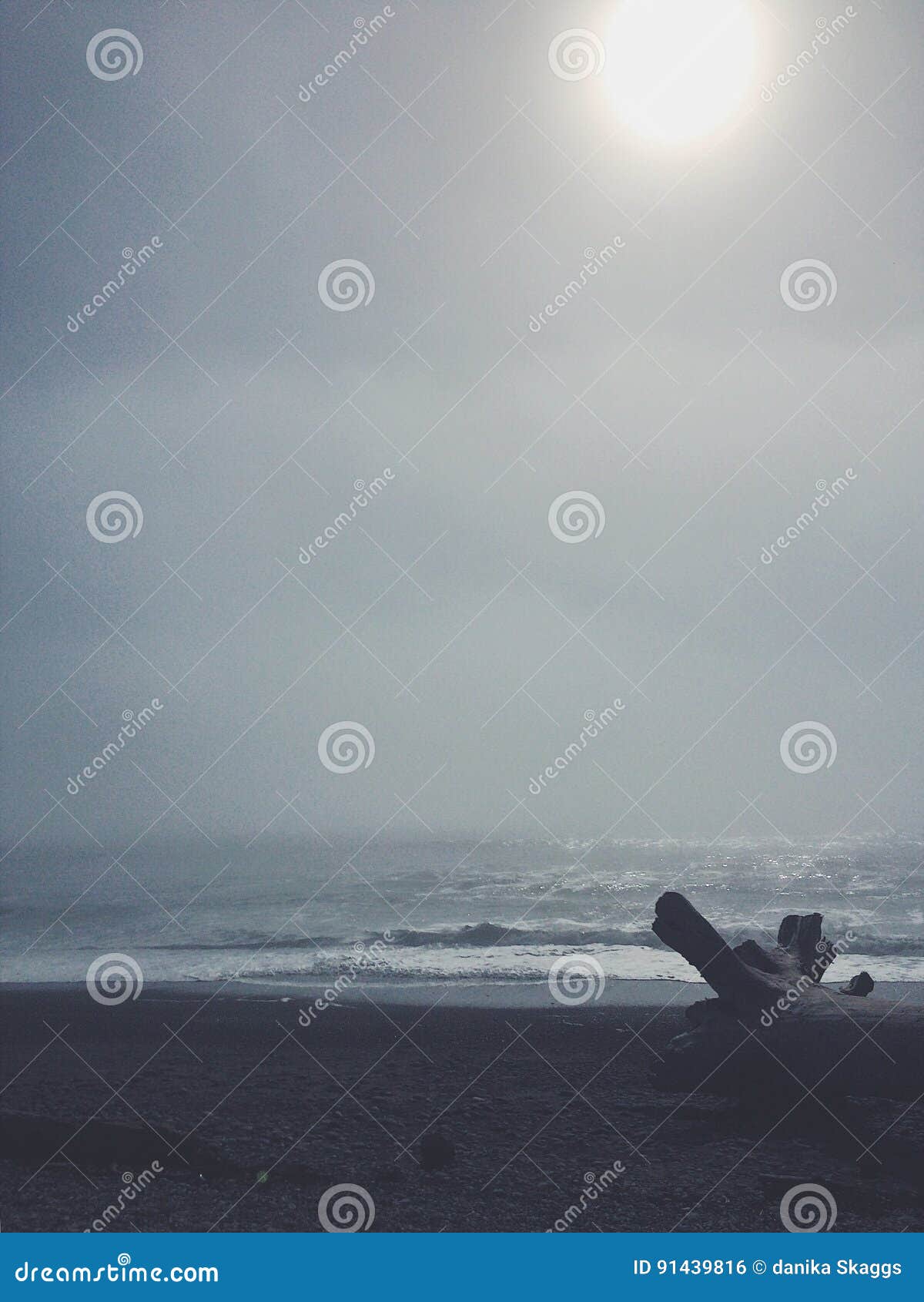 Spooky beach stock photo. Image of fallen, light, hiking - 91439816