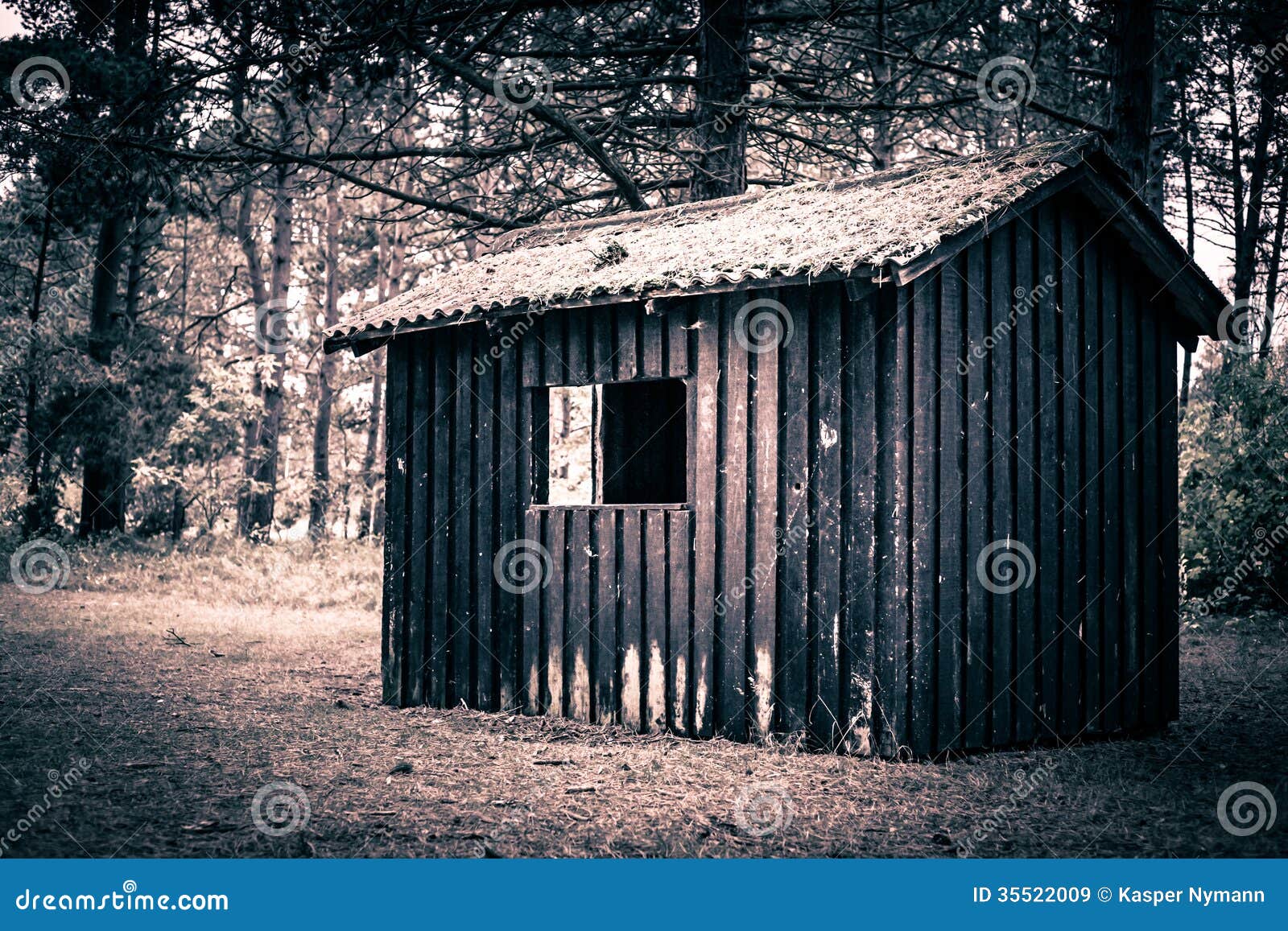 Spooky cabin stock image. Image of dark, cold, mystic - 35522009