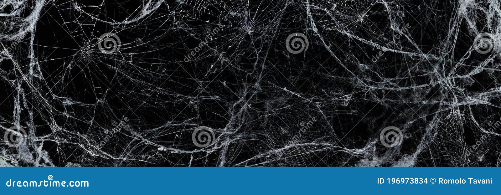 Spooky Cobweb in the Darkness Stock Photo - Image of spider, halloween ...