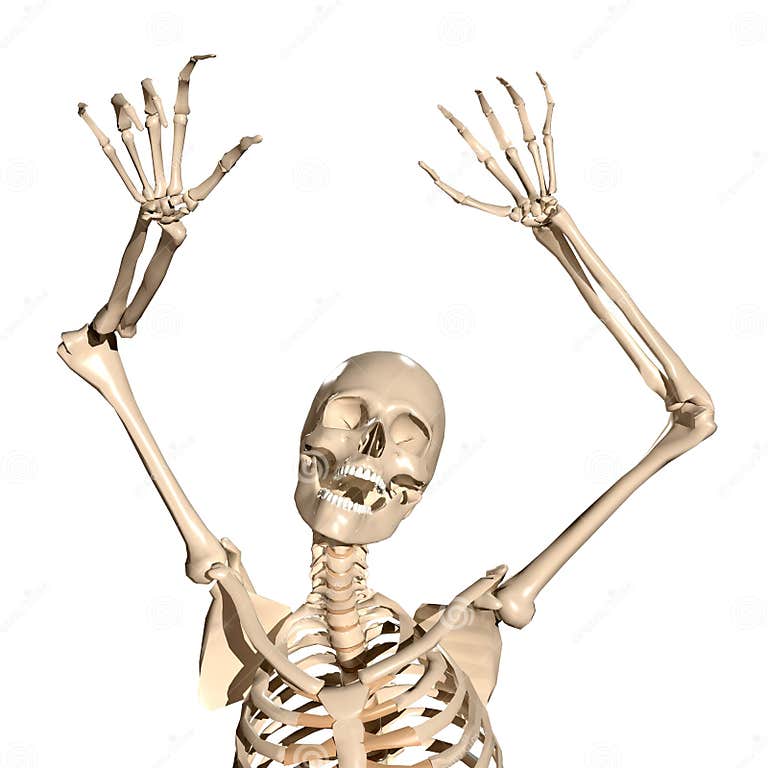 Spooky 3d Human Skeleton Screaming Stock Illustration - Illustration of ...