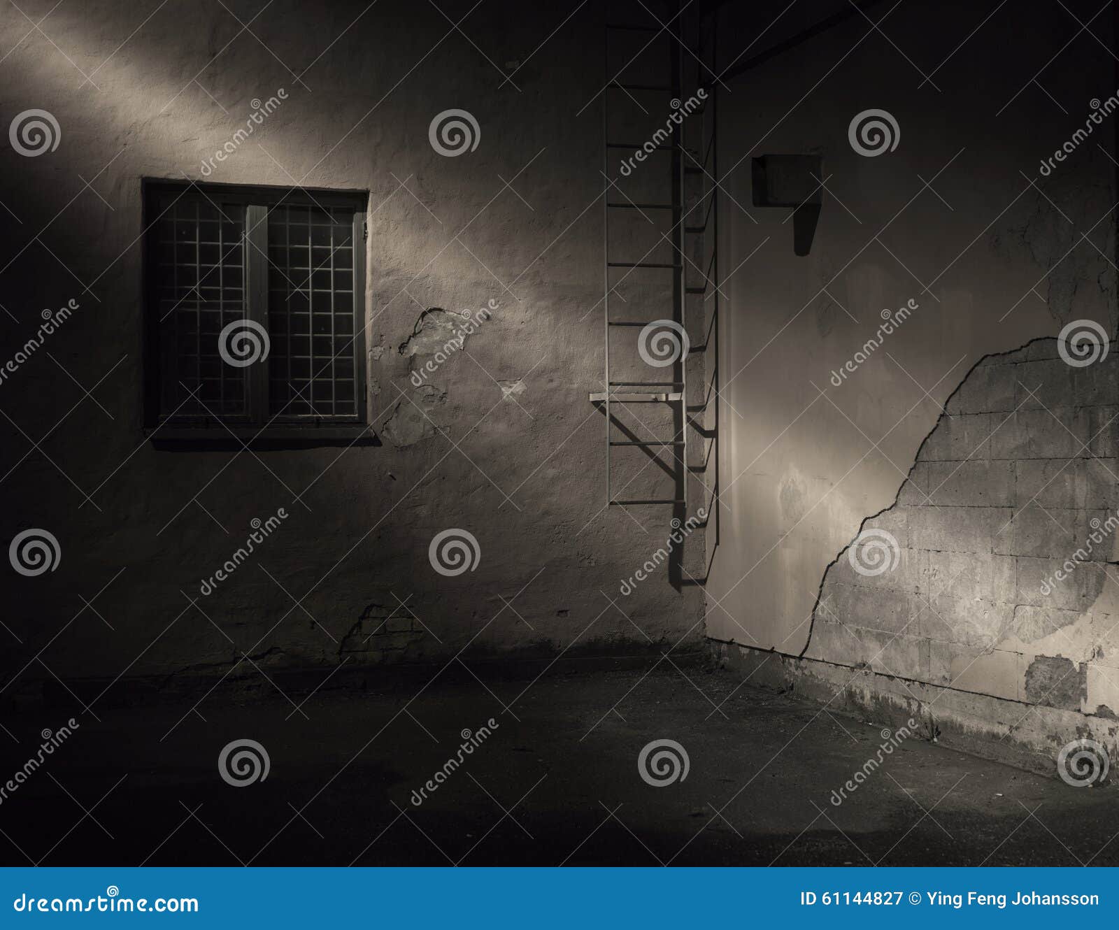 Spooky dark back yard stock image. Image of monochrome - 61144827