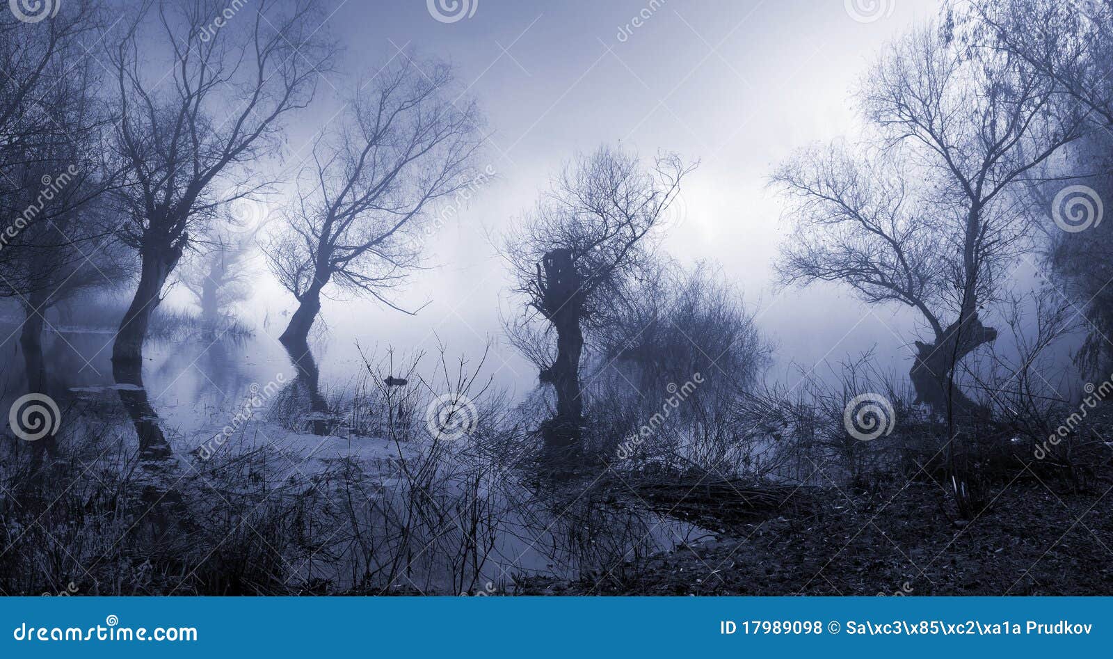 Spooky, Dark and Foggy Landscape Stock Photo - Image of cold, dark ...