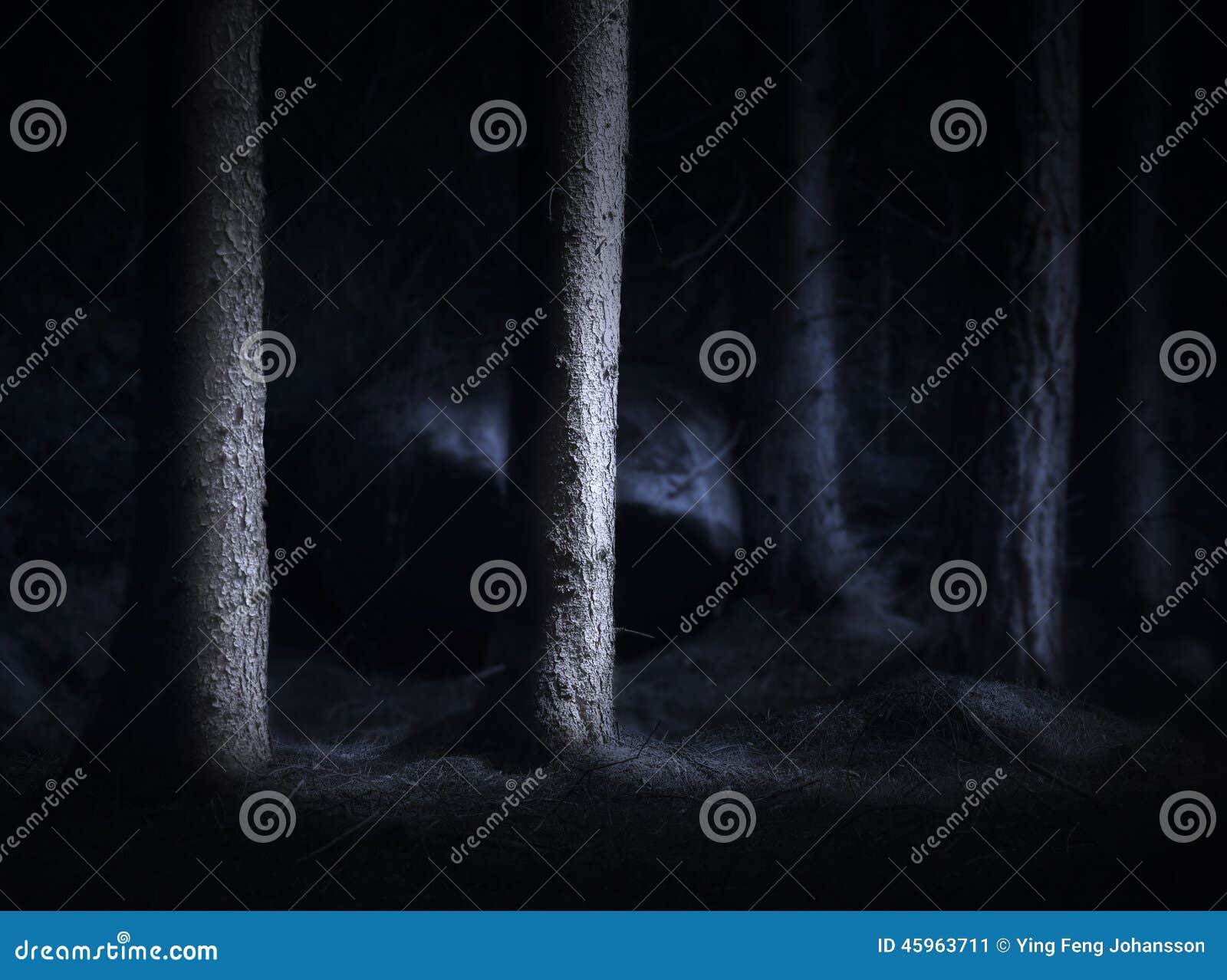 Spooky dark forest stock image. Image of trees, spooky - 45963711