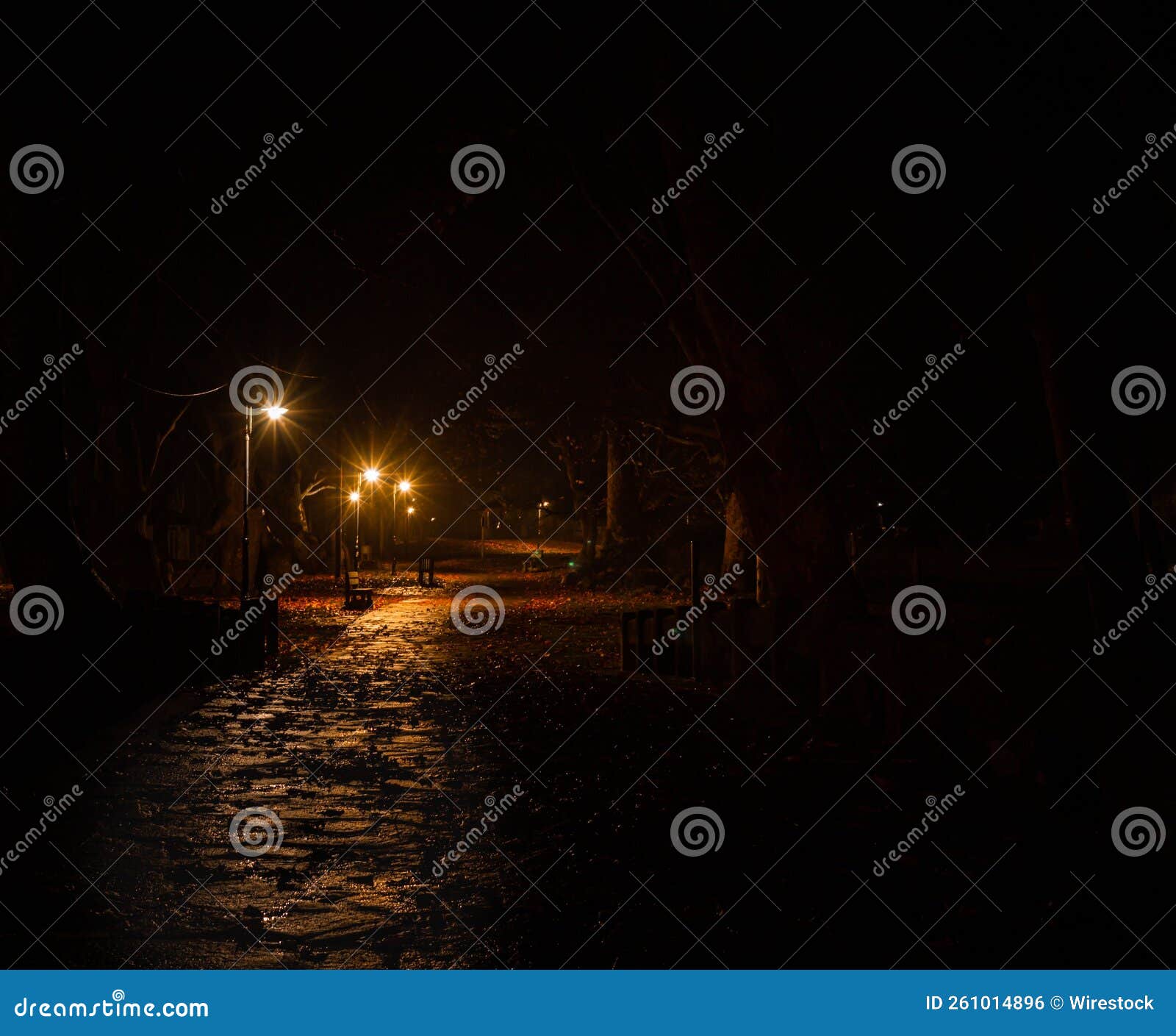 Spooky Empty Pathway Illuminated by Lanterns in a Park at Night Stock ...