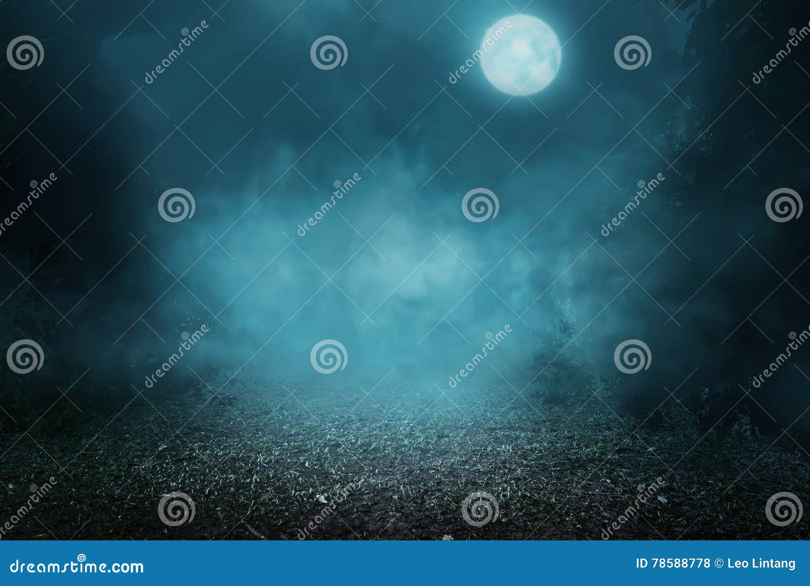 Spooky foggy forest stock photo. Image of beautiful, moon - 78588778