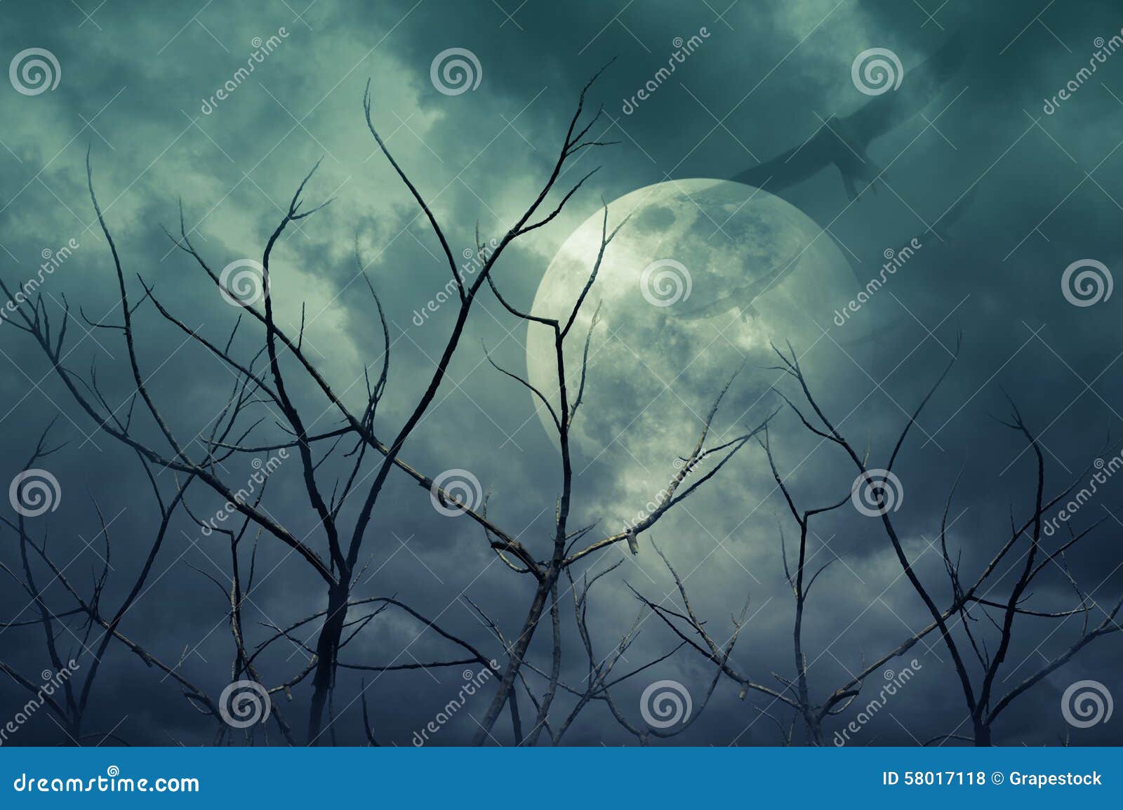 Spooky Forest With Full Moon, Dead Trees, Halloween Background Royalty ...