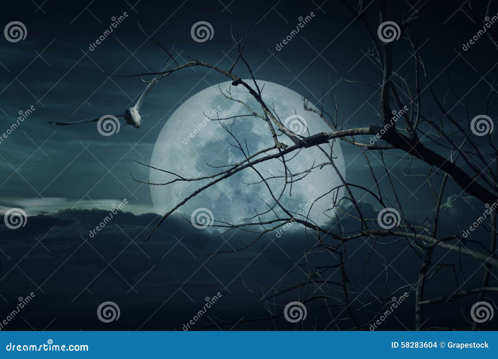 Spooky Forest With Full Moon, Dead Trees, Halloween Background Stock ...