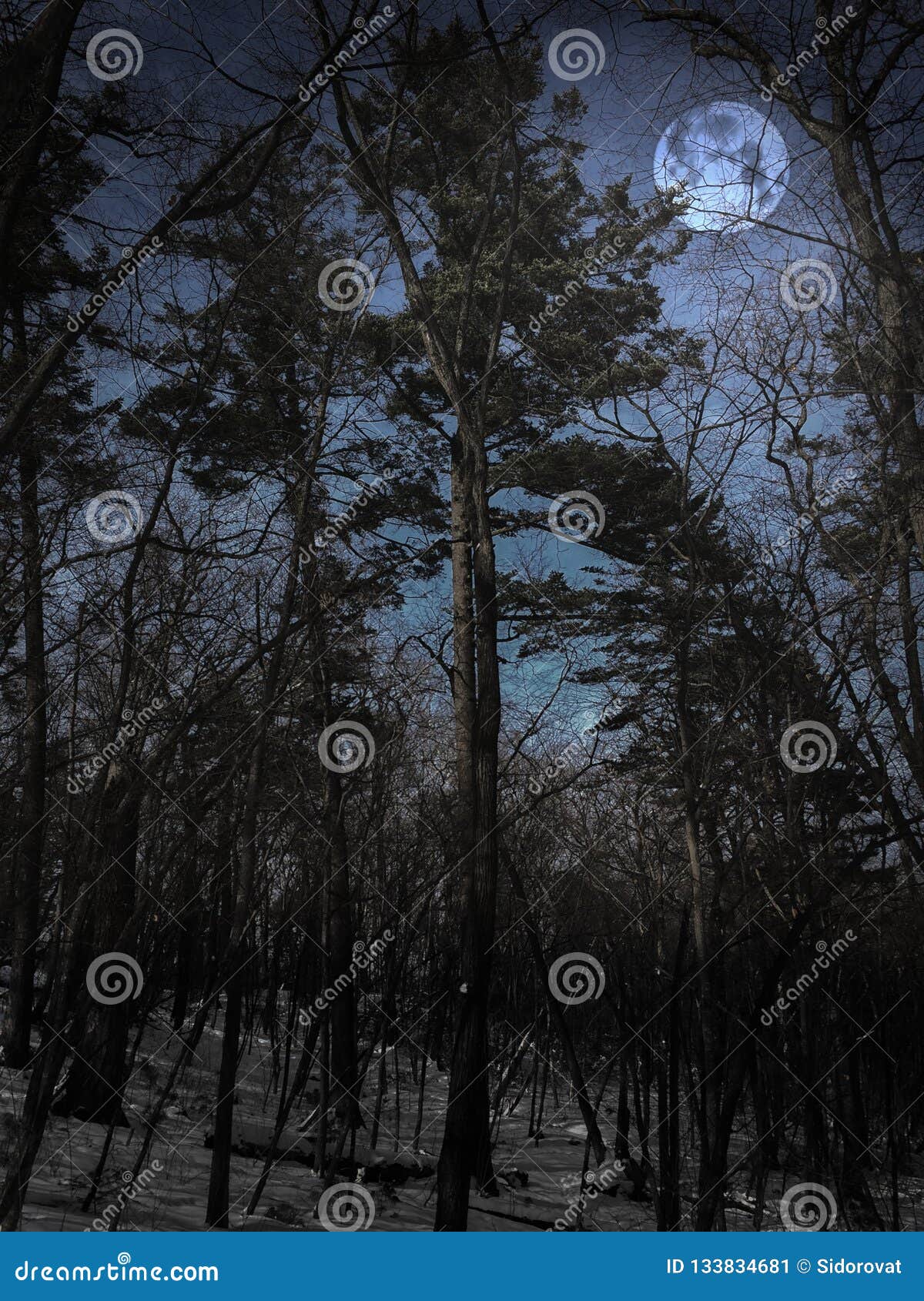 Spooky Forest with Full Moon Stock Image - Image of creepy, moon: 133834681