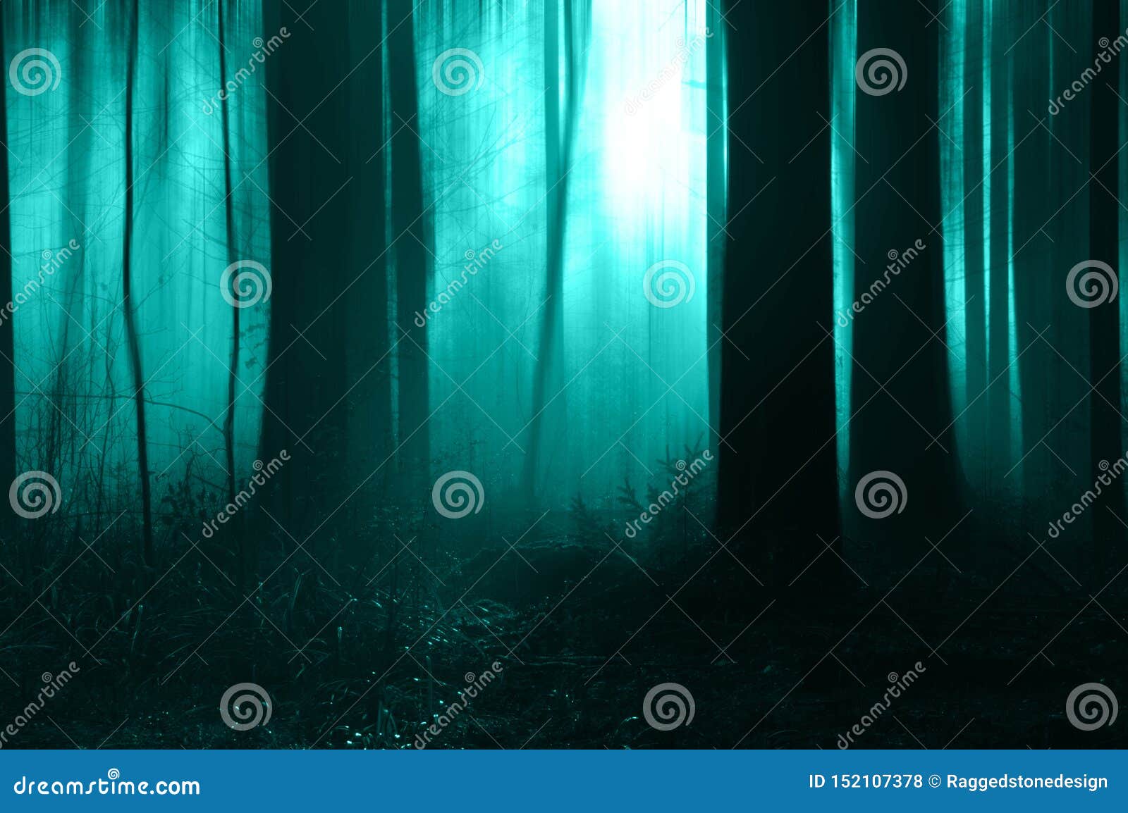 A Spooky Forest on a Misty Day in Winter. with a Blurred, Blue Green ...