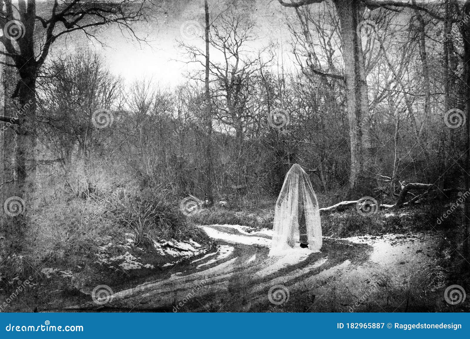 A Spooky, Ghostly Semi Transparent Figure On A Bed, With A Hand ...