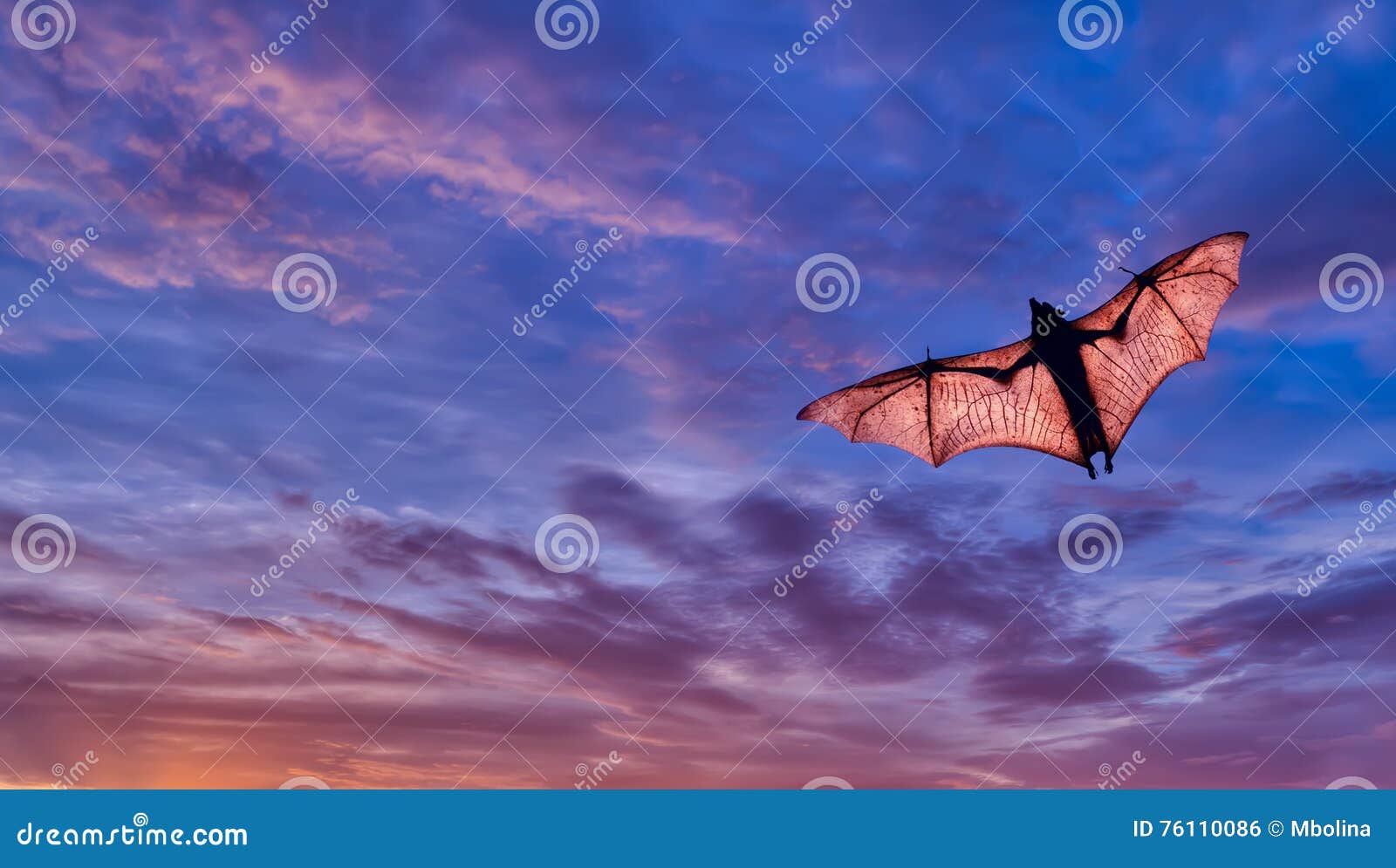 Spooky Halloween Background with Flying Fox Stock Photo - Image of dark ...