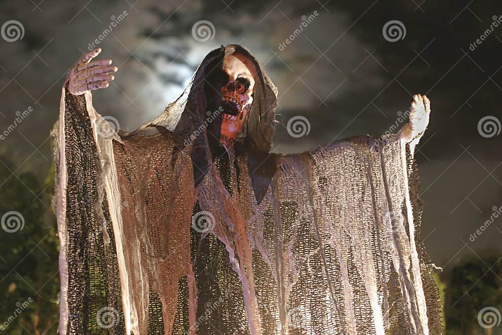 Spooky Halloween Skeleton stock image. Image of haunted - 6535749