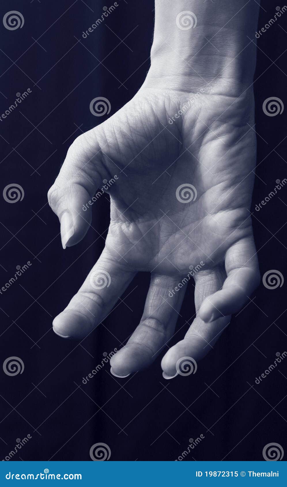 Spooky hand stock image. Image of curled, grab, horrifying - 19872315