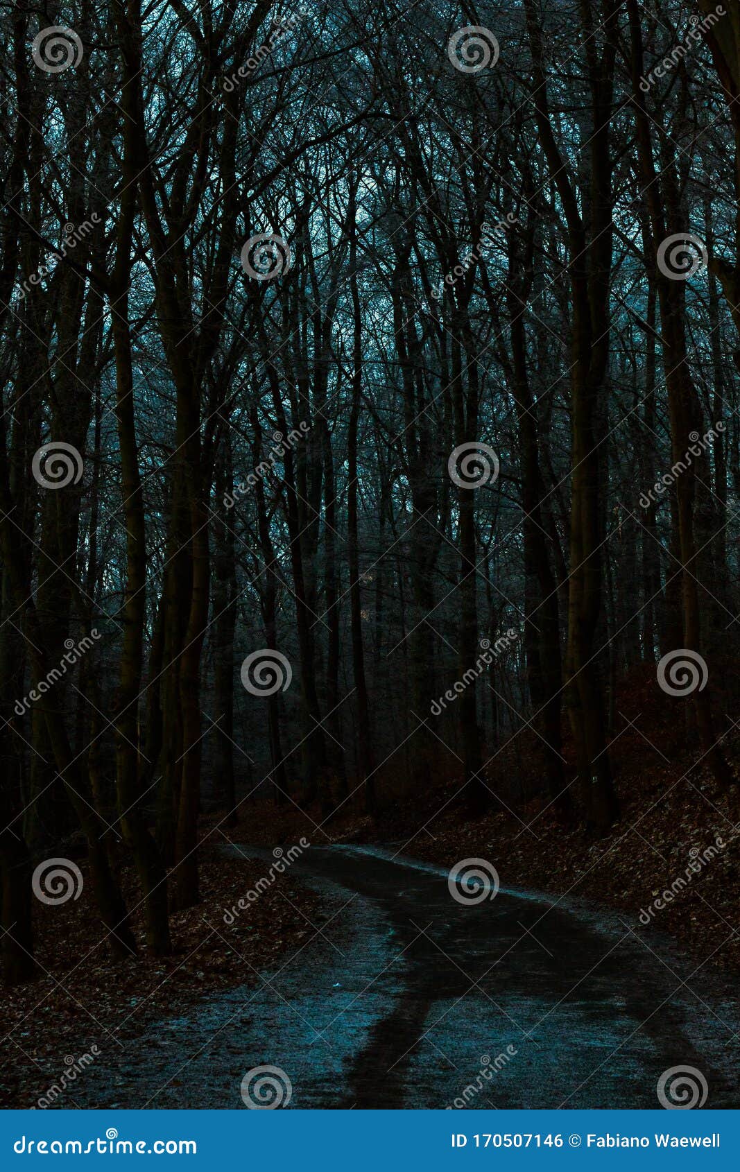 Spooky Horror Night Forest Path Stock Photo - Image of countryside ...