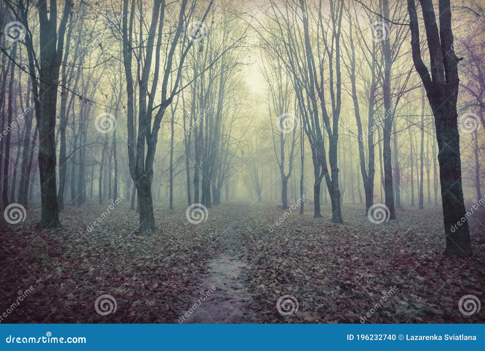 A Spooky Landscape of an Abandoned Stock Photo - Image of beautiful ...