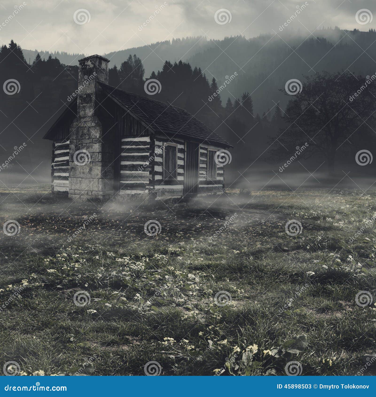 Spooky landscape stock image. Image of holiday, black - 45898503