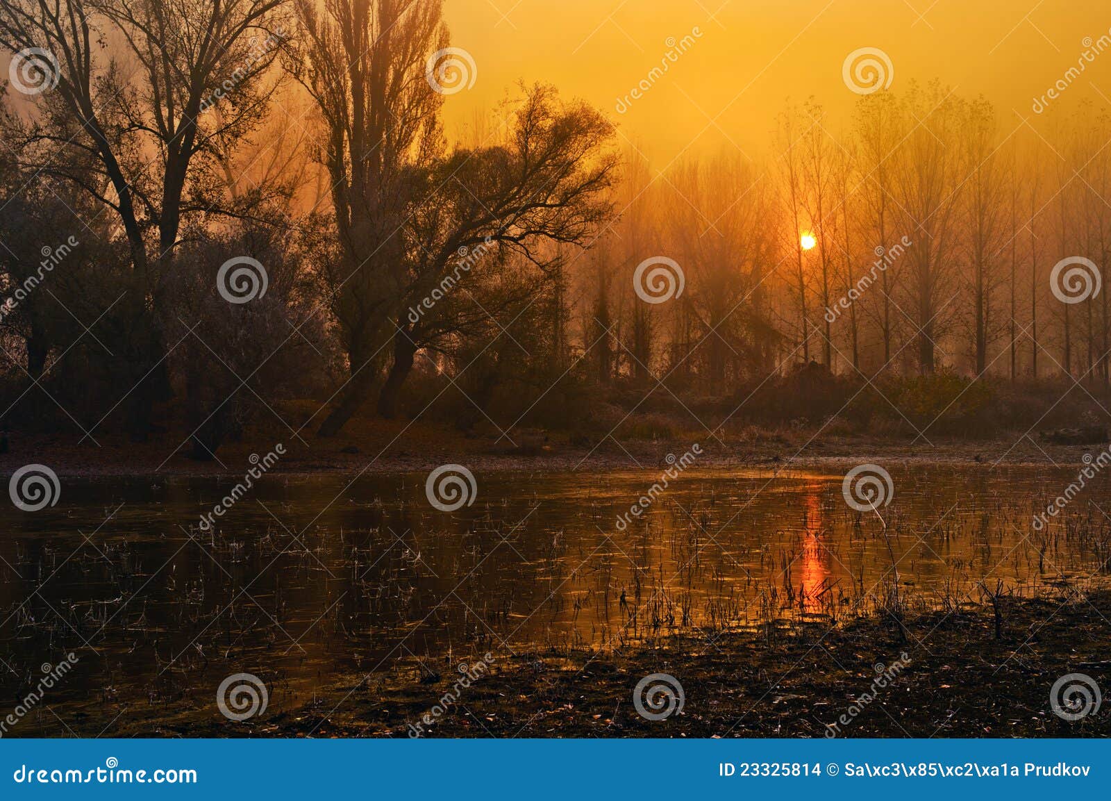 Spooky Landscape - Forest, River and Sun Stock Photo - Image of outdoor ...