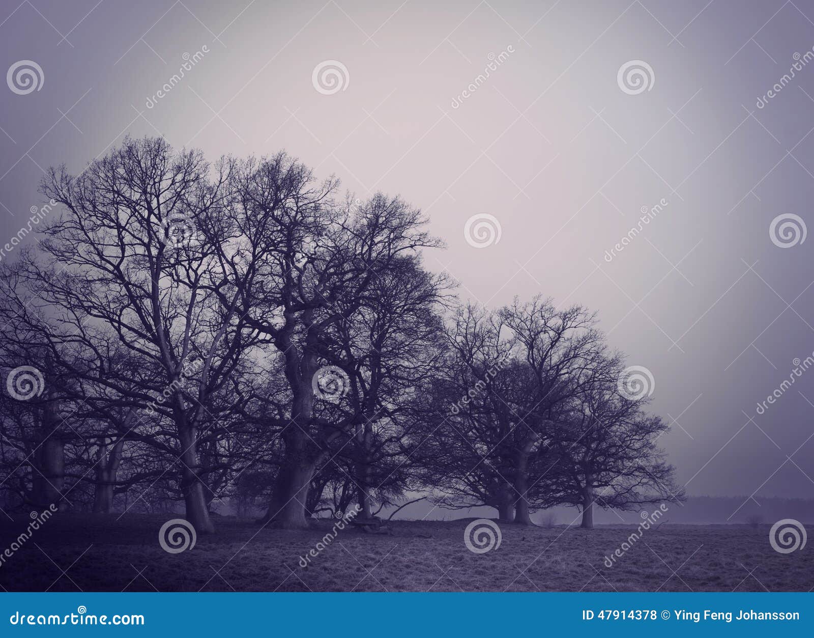 Spooky landscape stock photo. Image of landscape, nature - 47914378