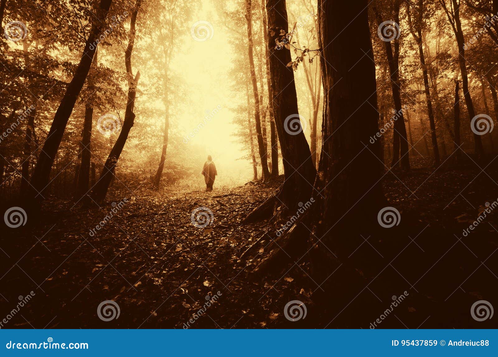 Spooky Man in Haunted Forest at Sunset Stock Image - Image of magic ...