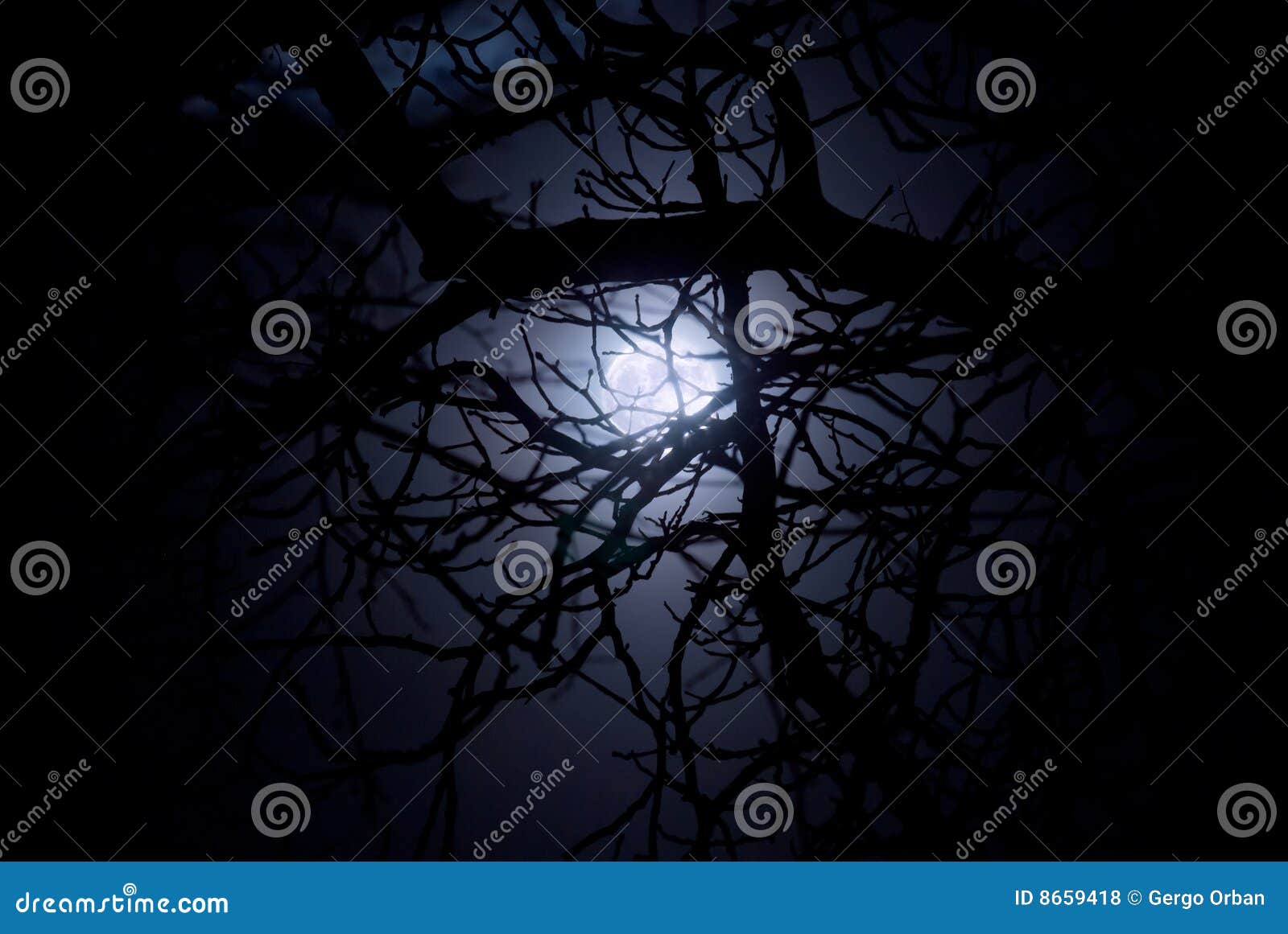 Spooky midnight moonlight stock photo. Image of dark, ghosts - 8659418
