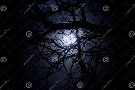 Spooky midnight moonlight stock photo. Image of dark, ghosts - 8659418