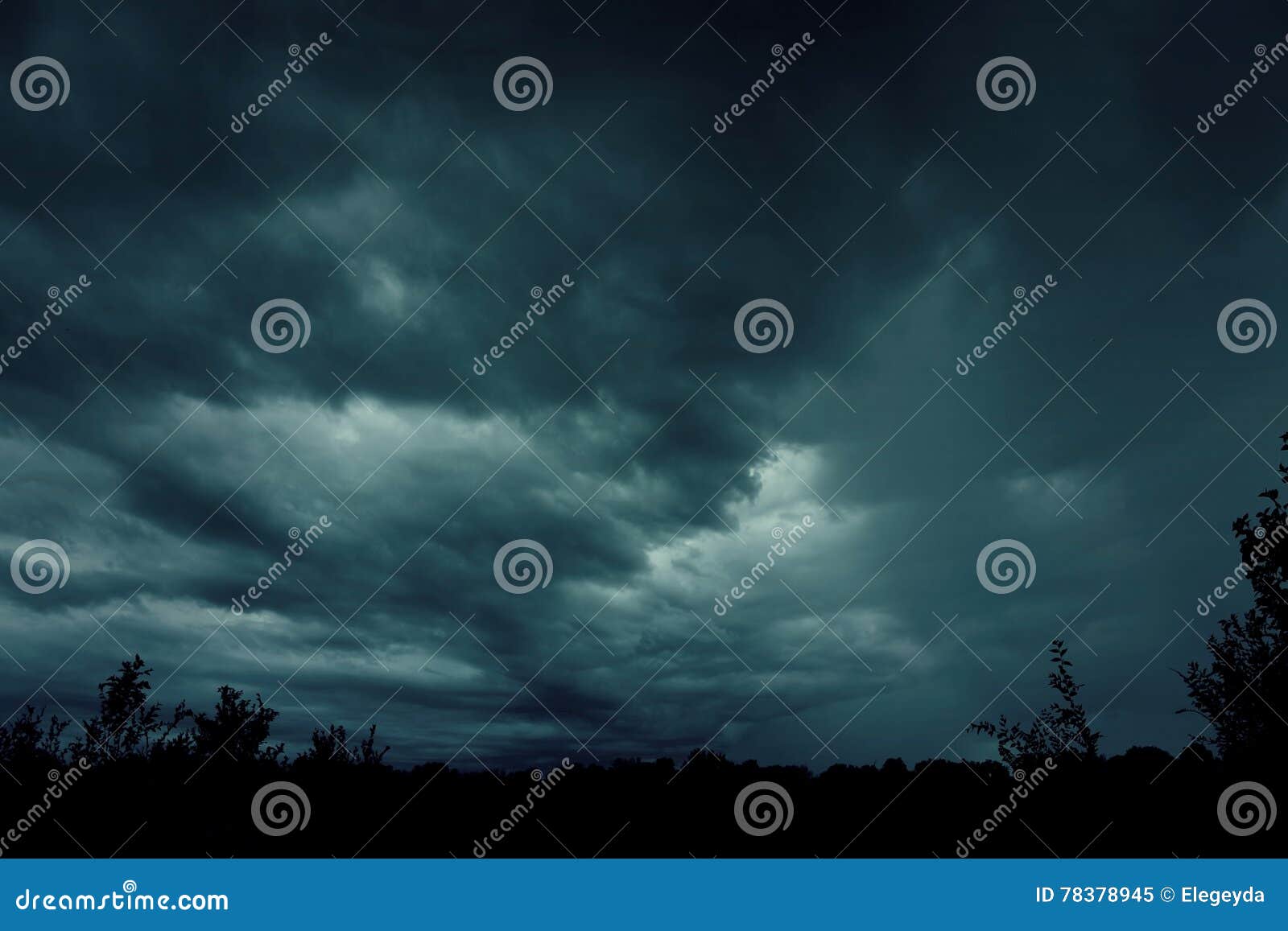Spooky Misty Foggy Forest with Dramatic Sky Stock Image - Image of ...
