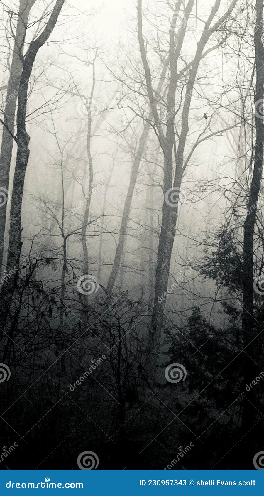 Spooky Mountains in Gatlinburg, TN Stock Image - Image of forest ...