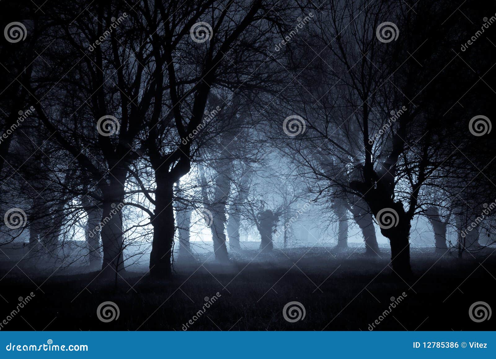 Spooky night stock photo. Image of ghost, death, misty - 12785386