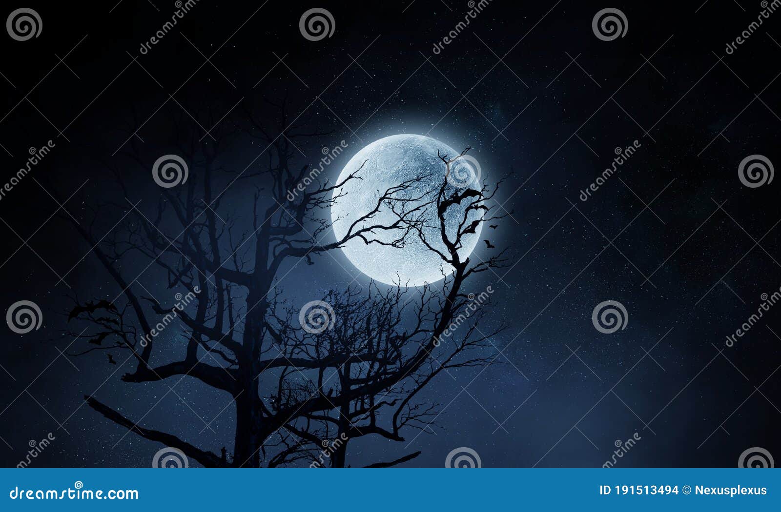 Spooky Night Image . Mixed Media Stock Photo - Image of earth ...