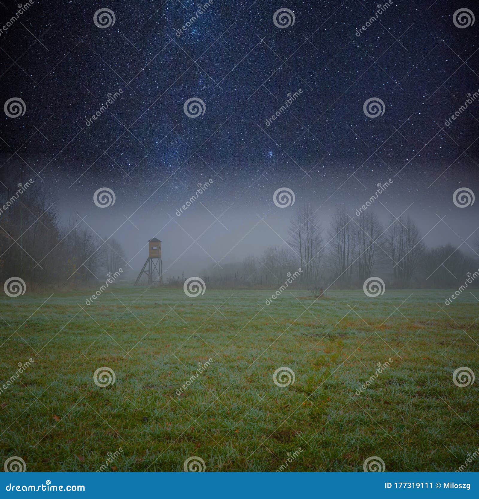 Spooky Night Landscape with Meadow Stock Image - Image of raised ...