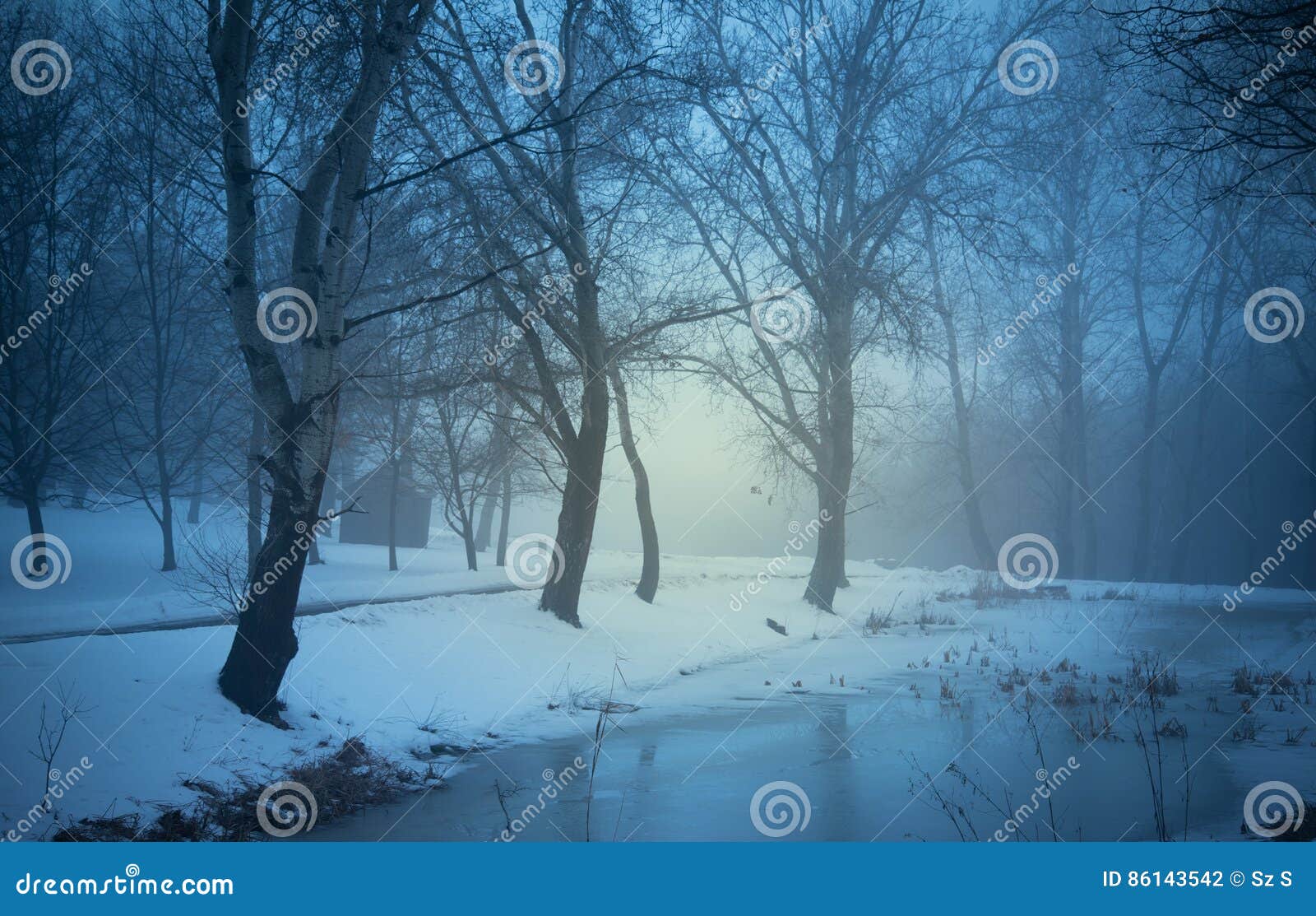 Spooky night in the nature stock photo. Image of mist - 86143542