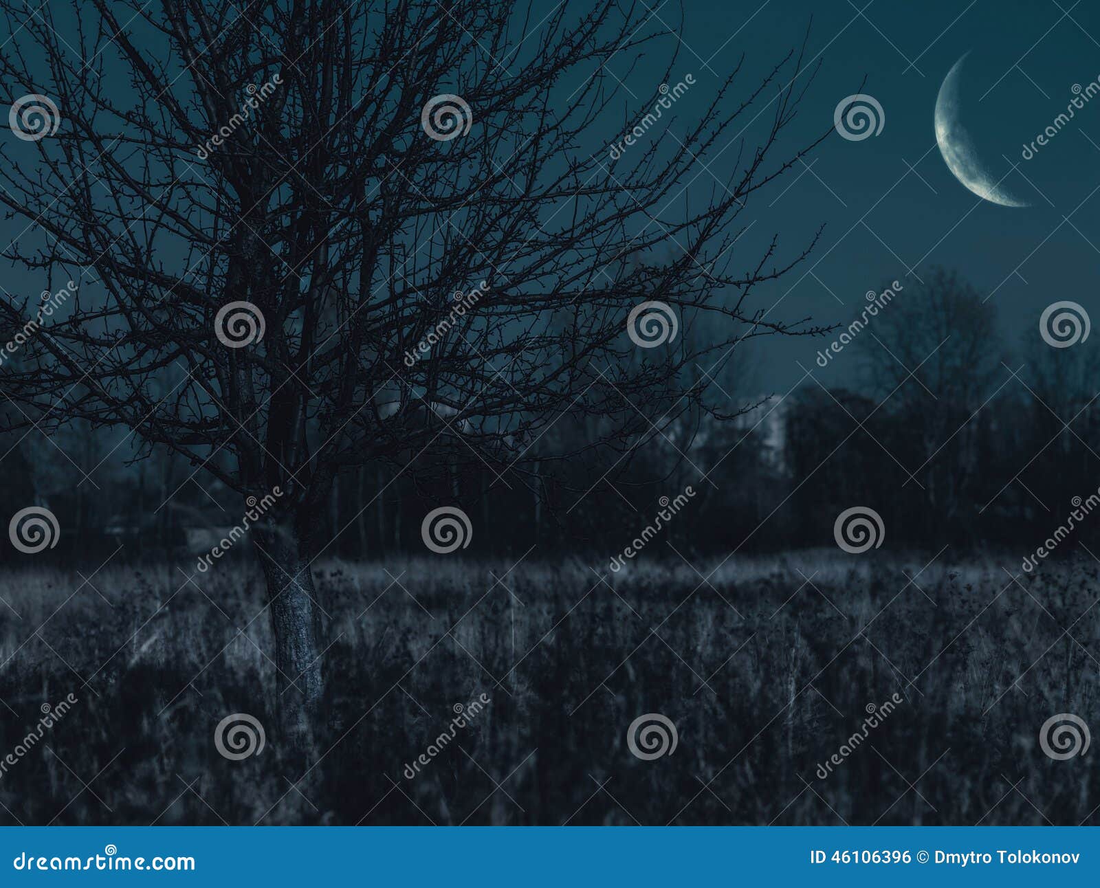 Spooky night stock photo. Image of design, black, holiday - 46106396