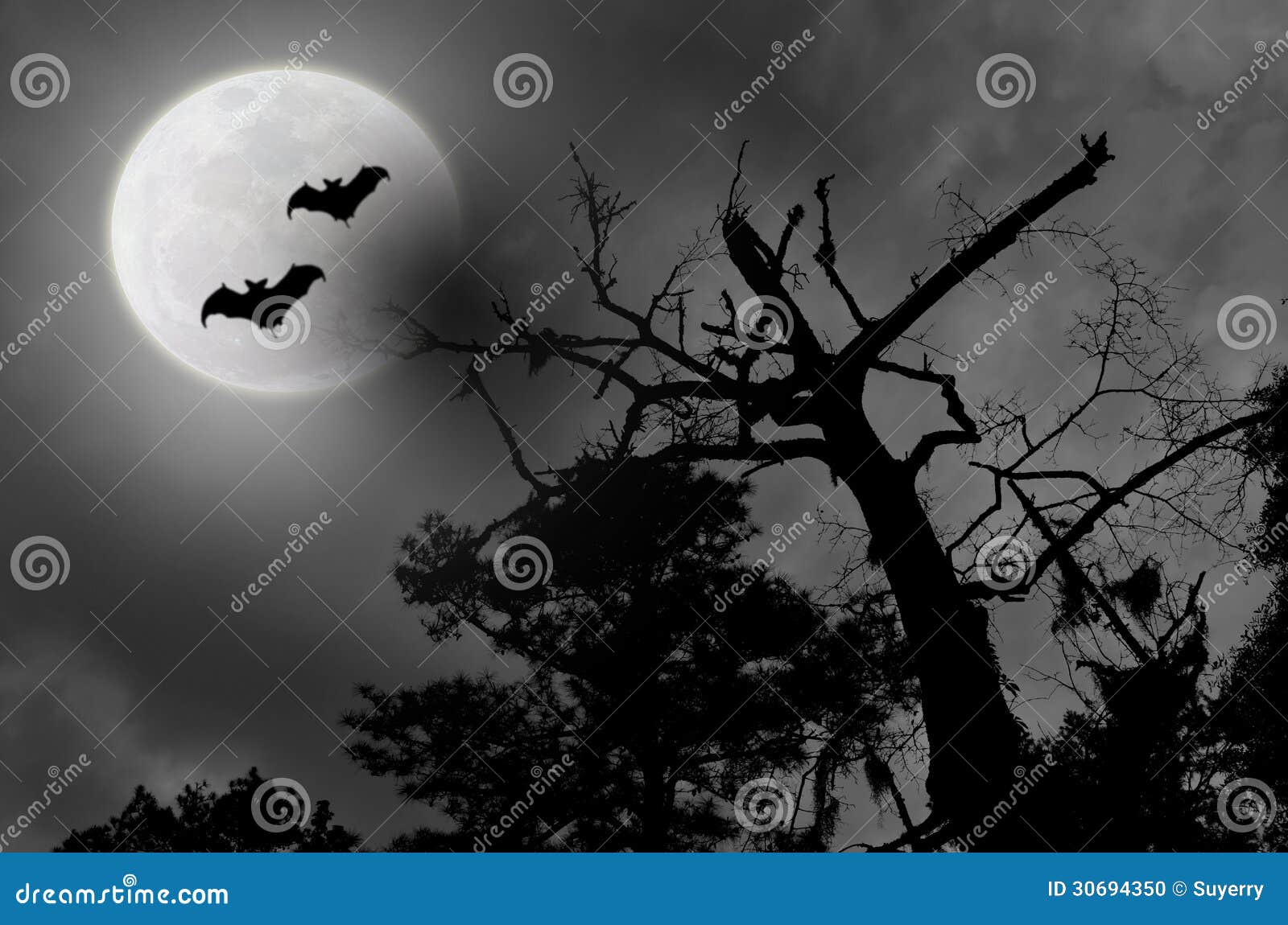 Spooky Night Sky Cloudy Full Moon Bats Stock Illustration ...