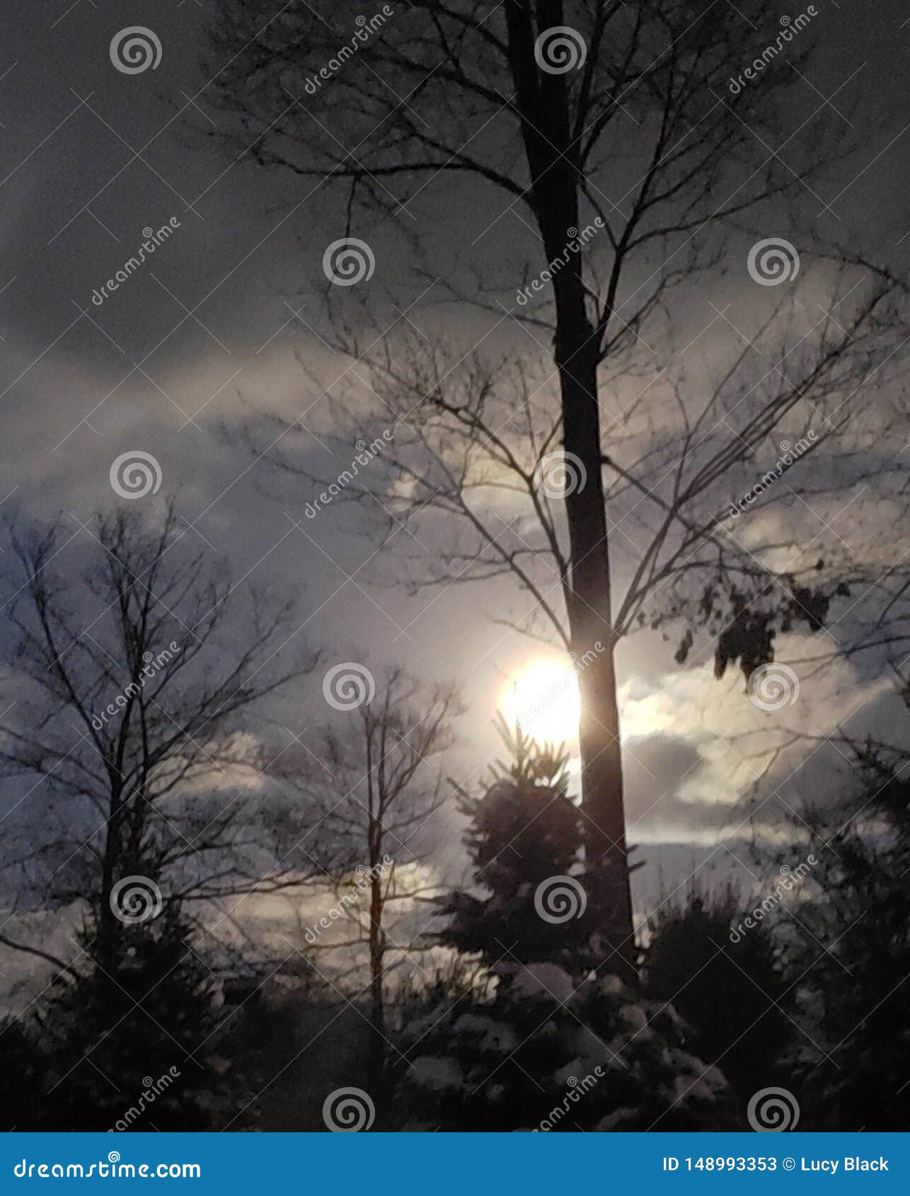 Spooky Night stock image. Image of spooky, moonlight - 148993353