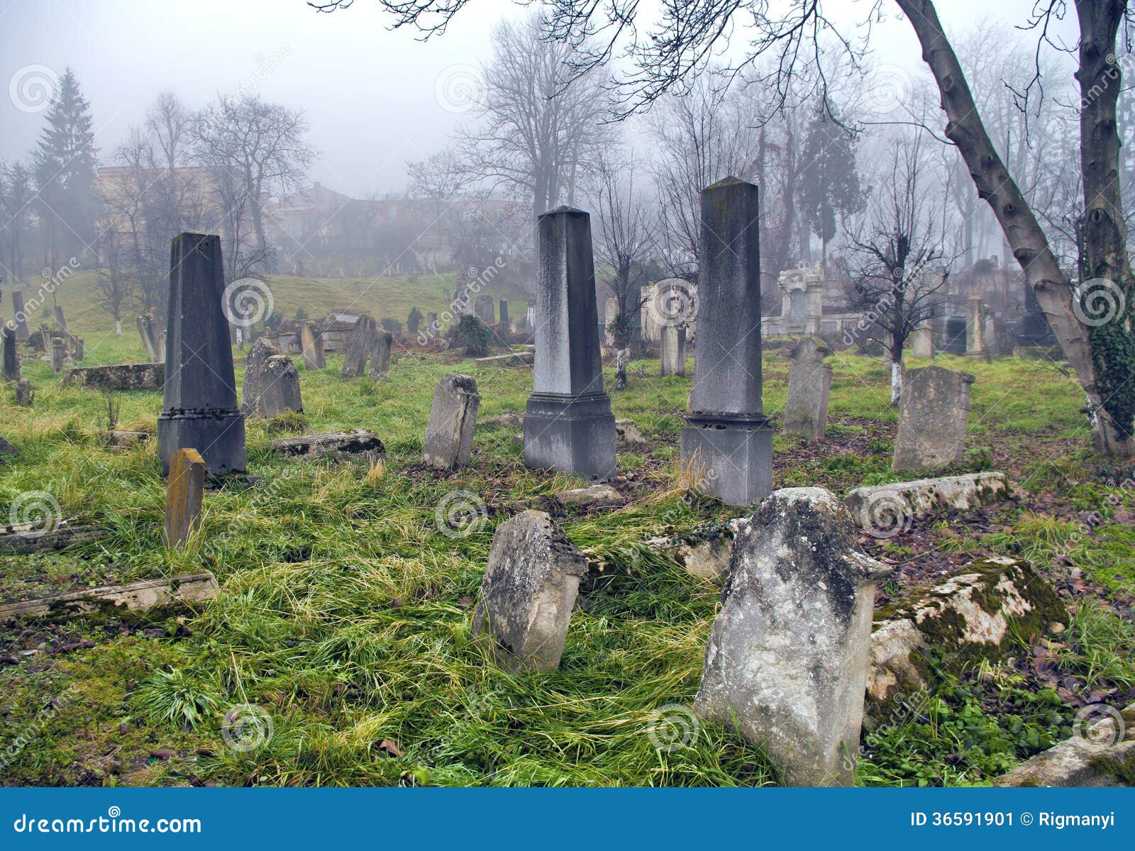 Spooky old graveyard stock image. Image of abandoned - 36591901