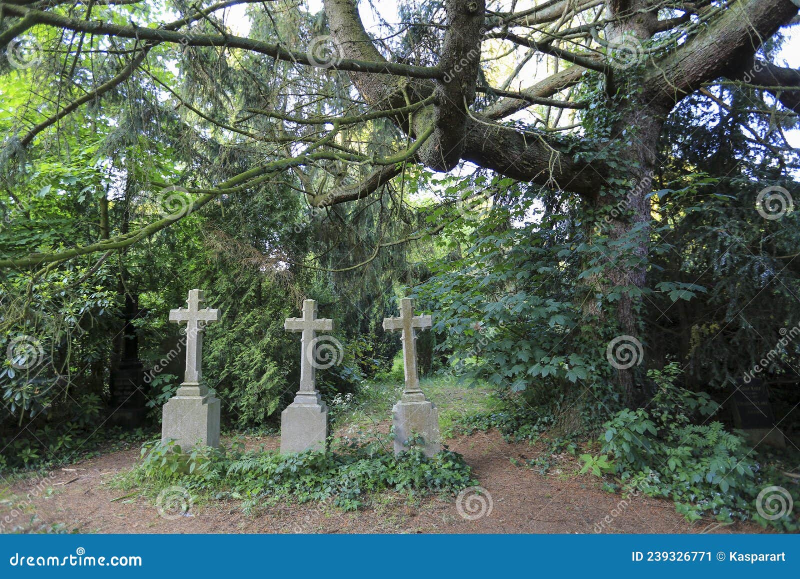 A Spooky Old Graveyard with Three Stone Crosses in a Forest Stock Image ...