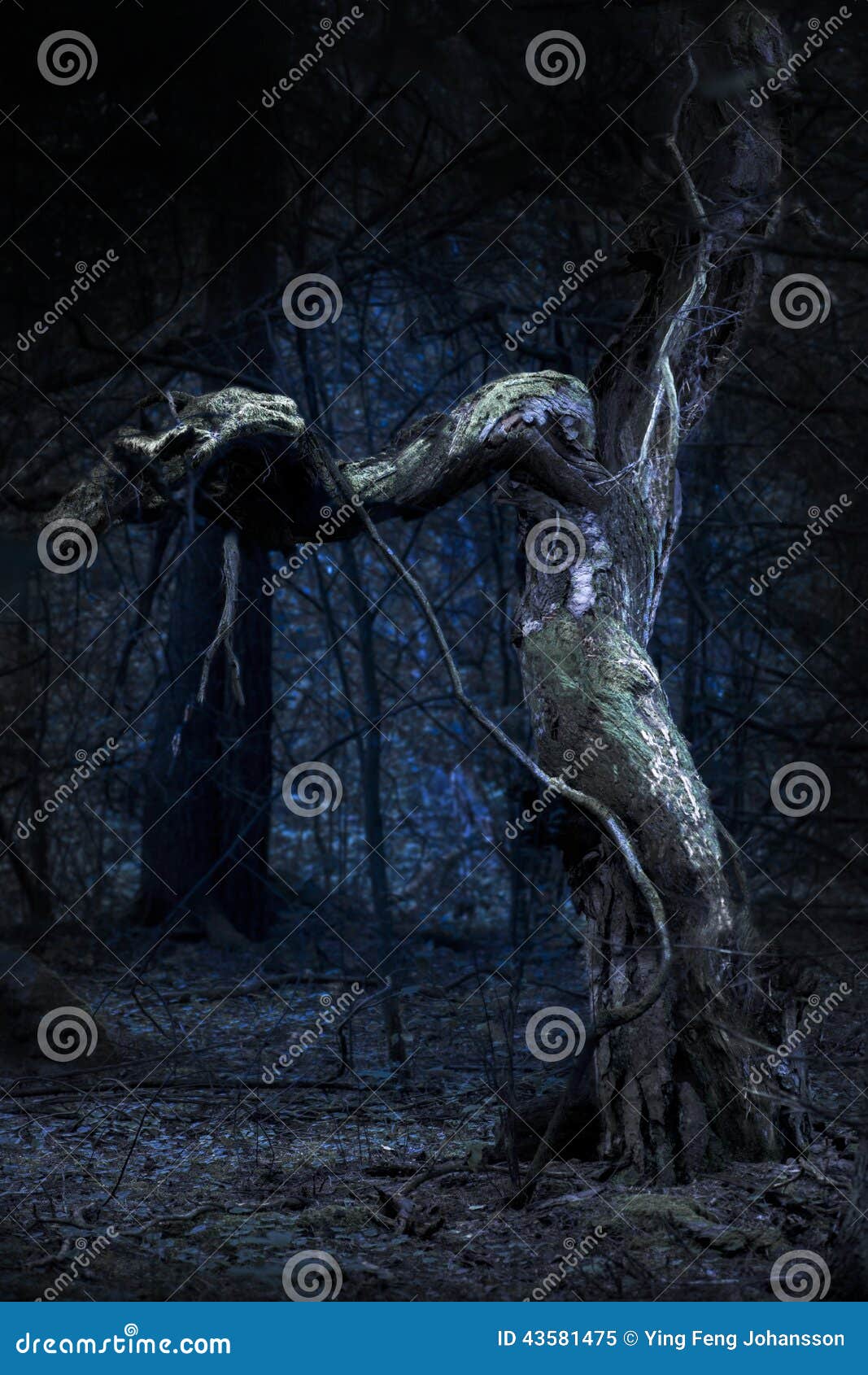 Spooky old tree stock image. Image of wood, landscape - 43581475