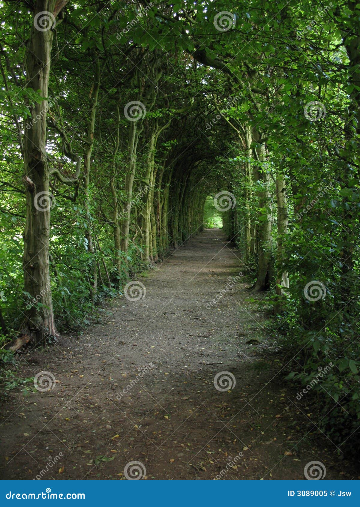 Spooky Pathway stock image. Image of rural, dark, path - 3089005